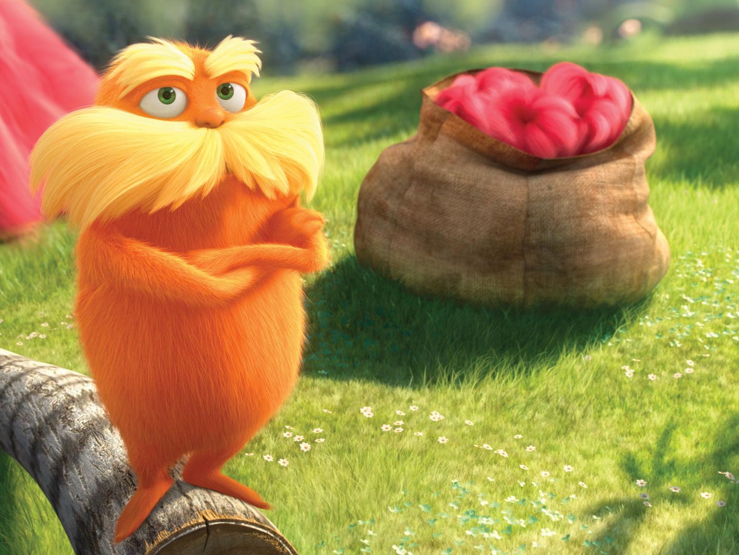 The Lorax Cartoon Movie Wallpaper HD Compilation ~ Cartoon Wallpaper