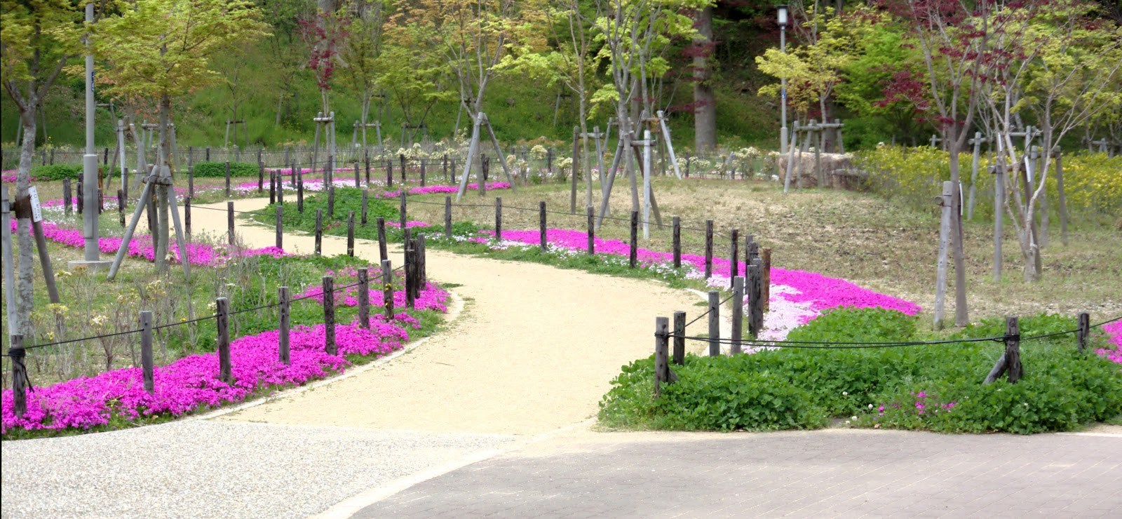 Domo World Japan Tour: Osakan linna