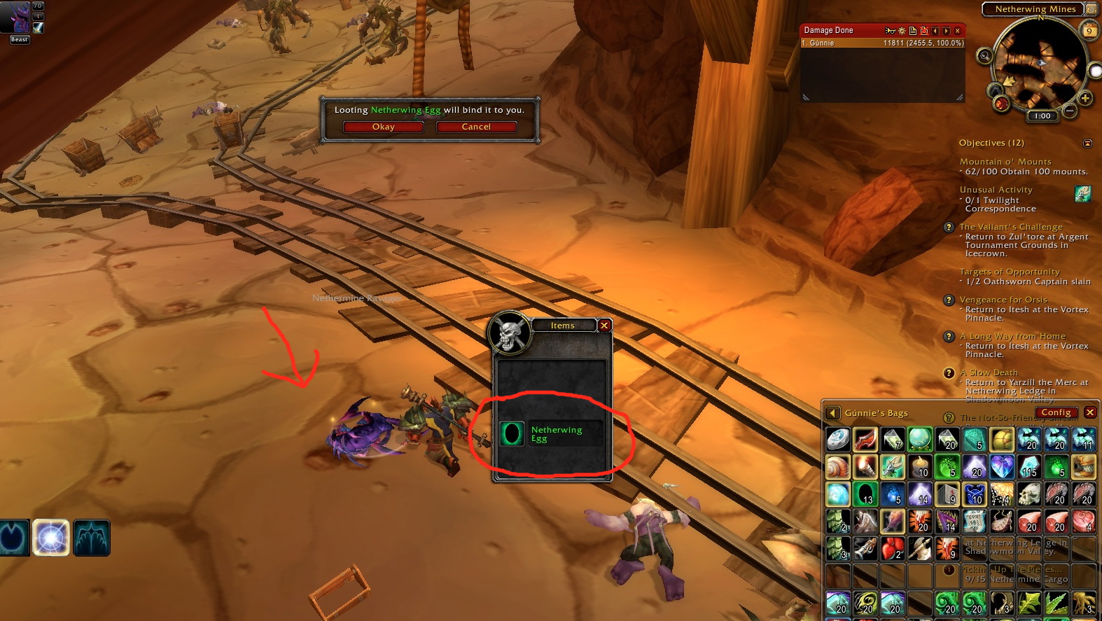 Gun's Guide to World of Warcraft: Netherwing Easter Egg Hunt