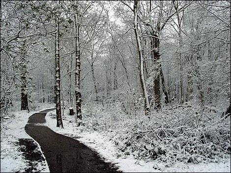 Geography: Proses Terjadinya Hujan Air,Hujan salju,dan Hujan Buatan