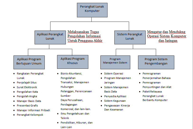 SISTEM INFORMASI MANAJEMEN: PERANGKAT LUNAK KOMPUTER