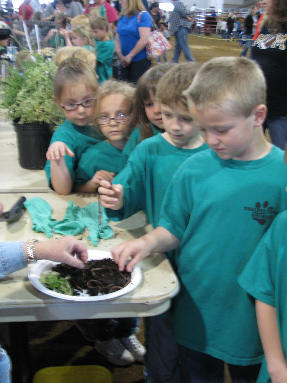 Mrs. Dougan's Kindergarten Class: Farm Friends