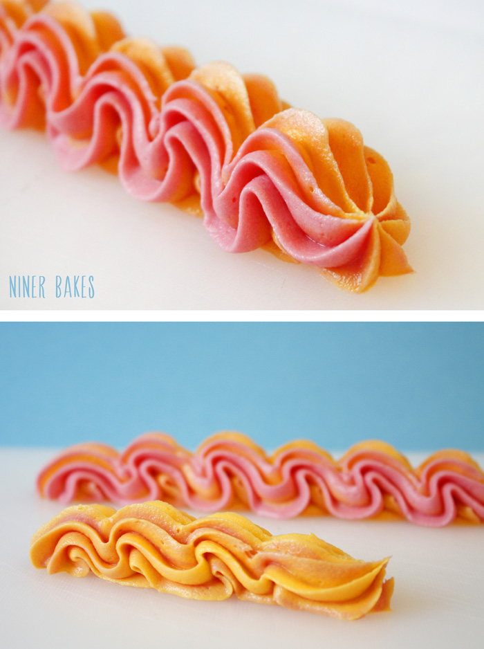 Cupcakes Lovers : {Cupcake Decorating} Basic Icing/Frosting Piping ...