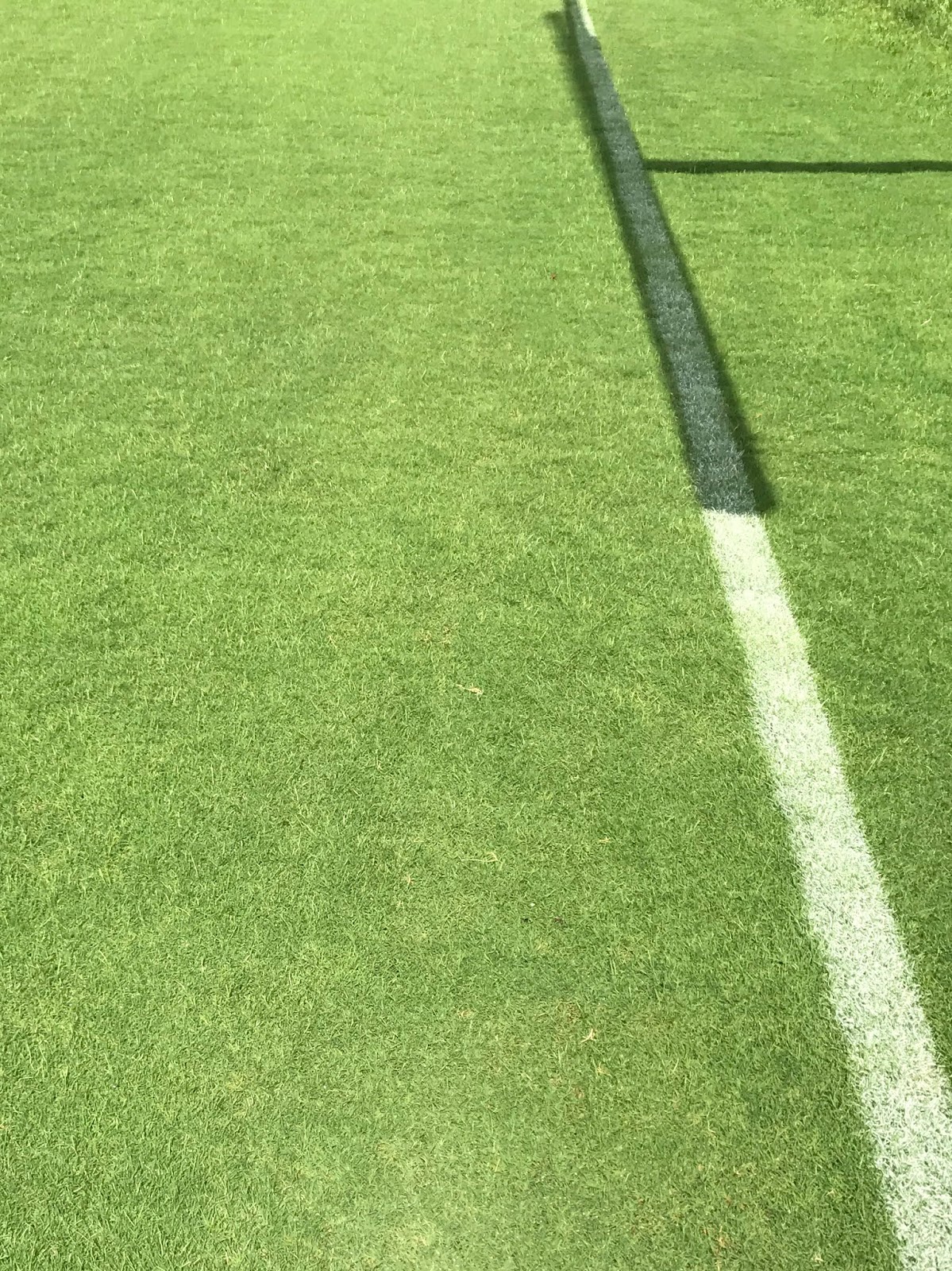 Smart Turf: Lafayette Central Catholic - Sand Channel Drainage ...