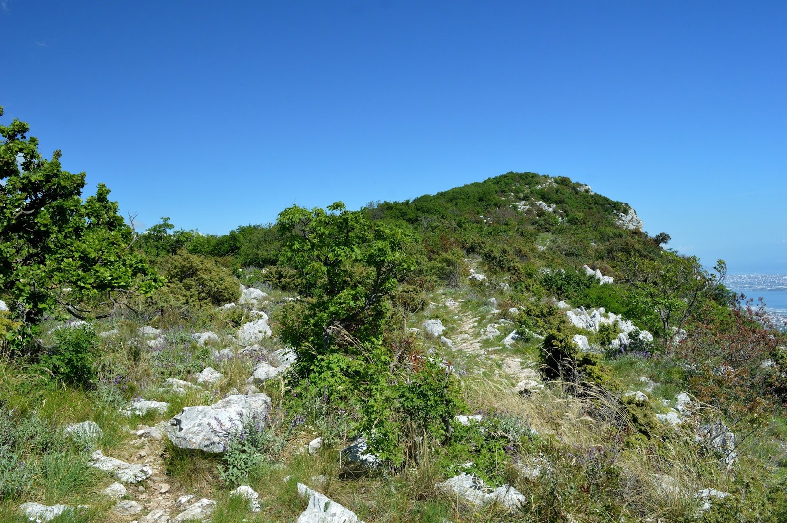 Ljepote planina: Kozjak, vrh Biranj, svibanj 2017