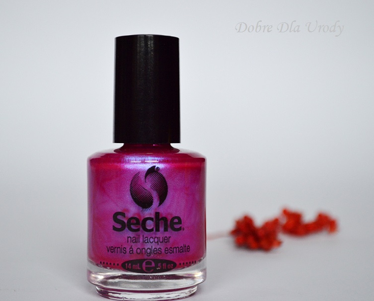 Dobre Dla Urody: Seche Magnifique na moich paznokciach