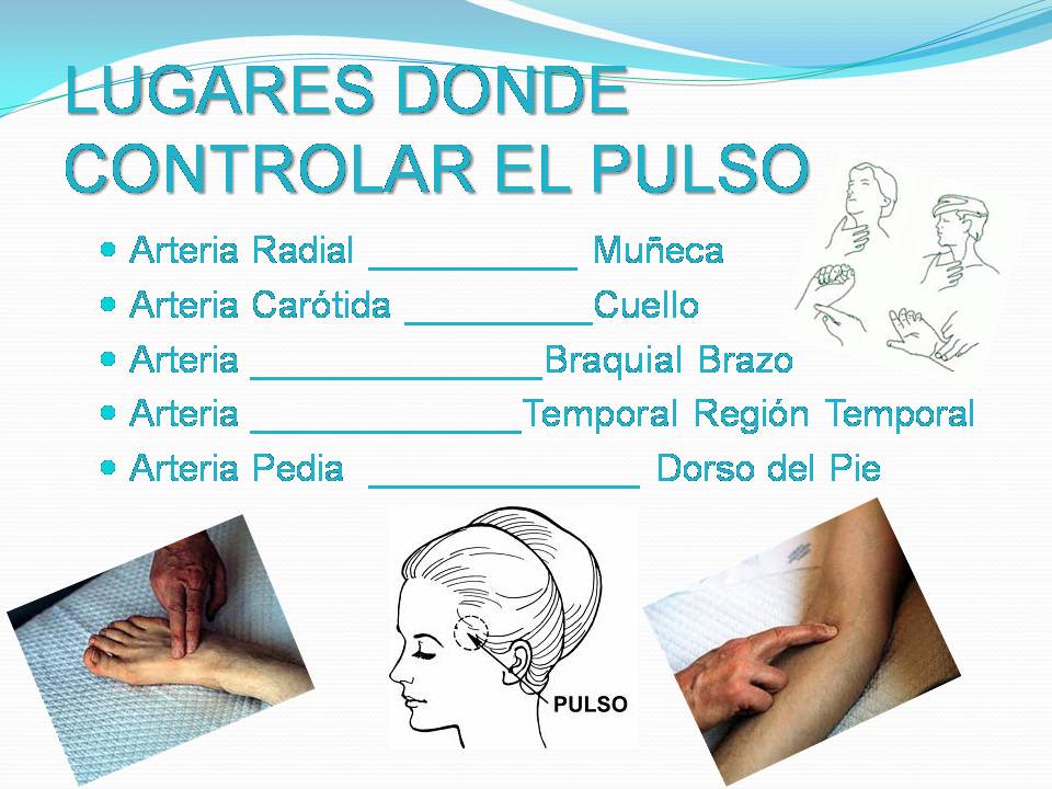 Primeros Auxilios: PULSO