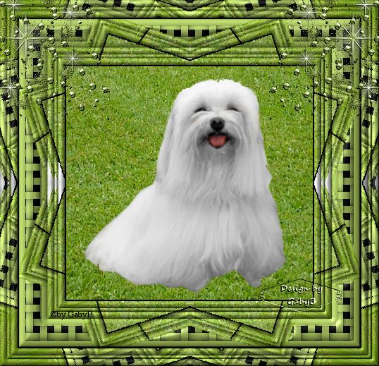 Renys Tutoriale: Rahmen_Zauber