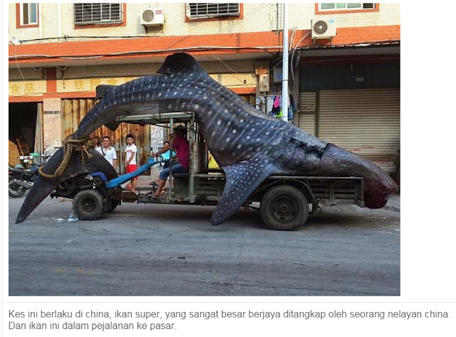 MENGGEMPARKANN!! PENEMUAN Benda PELIK Di DUNIA Yang PENAH Di REK0DKAN ...