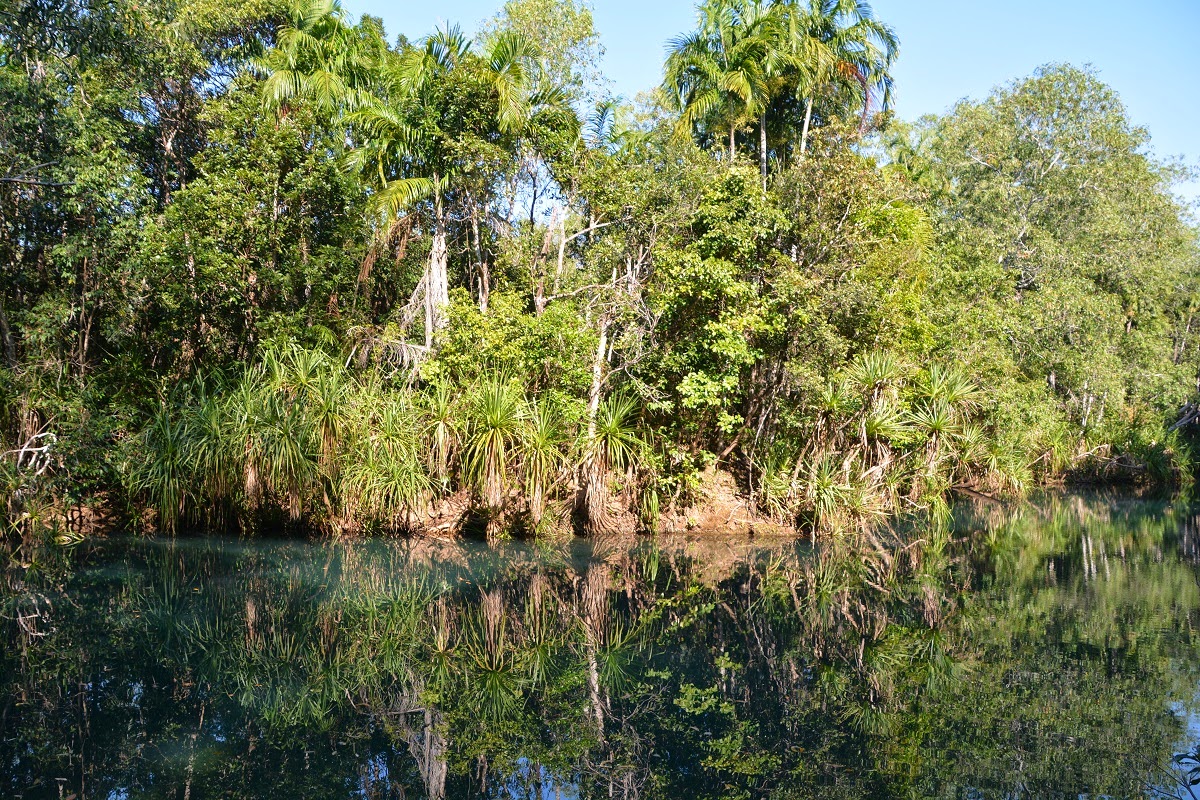 gohavealook: WE’RE IN DARWIN - WEEK 3