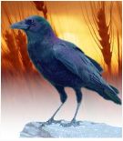 IslamTutor: The story of Habeel and Qabeel