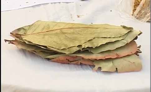 ஹுஸைனம்மா: 01/05/2011 - 01/06/2011