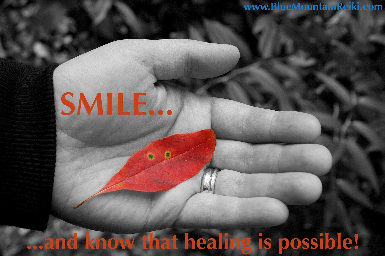 Posted by Haley at 10:20 PM