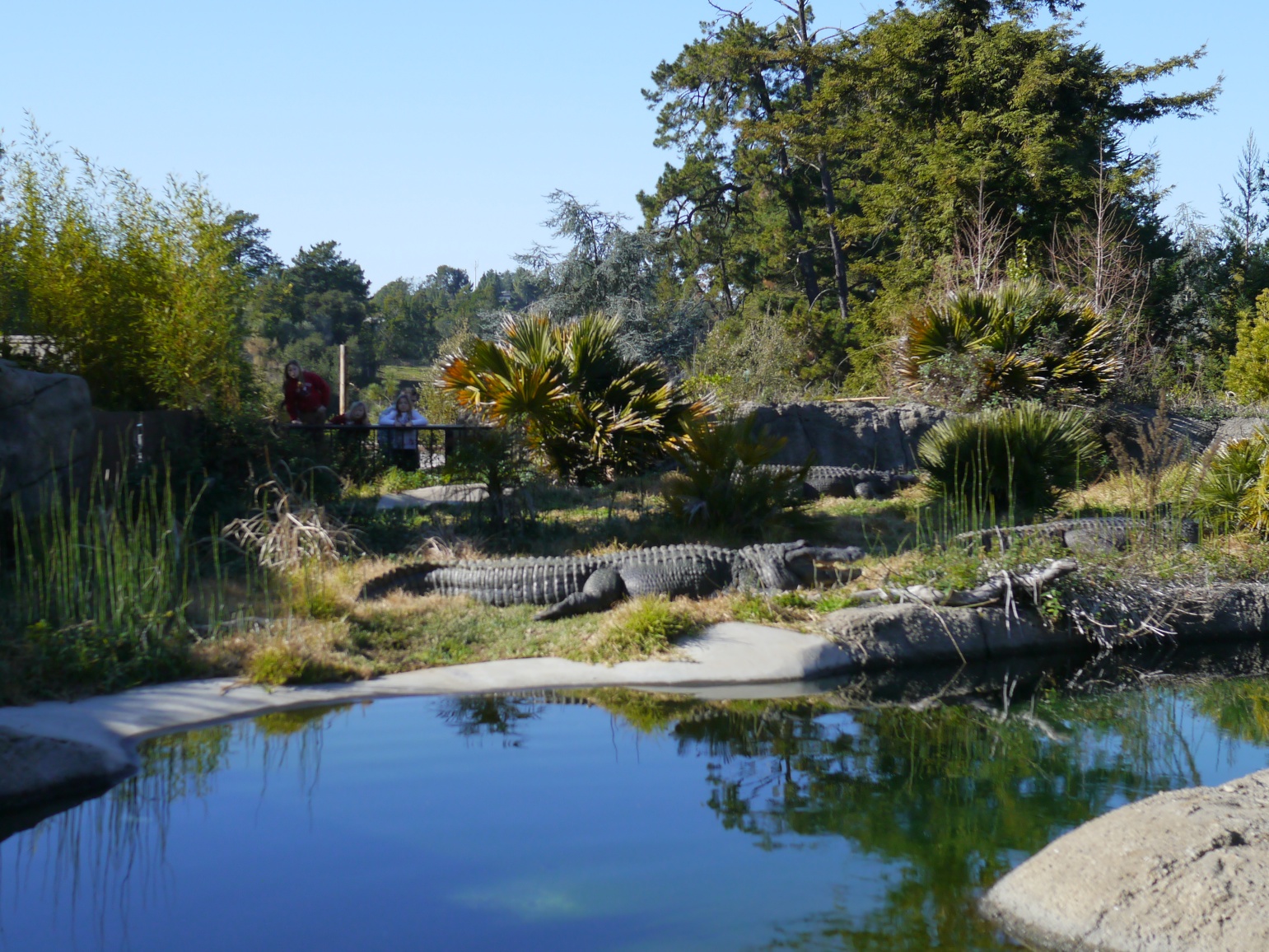 Little Hiccups: Oakland Zoo