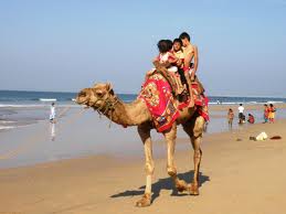 Bird Sanctuaries in India- A habitat for native and migratory birds ...