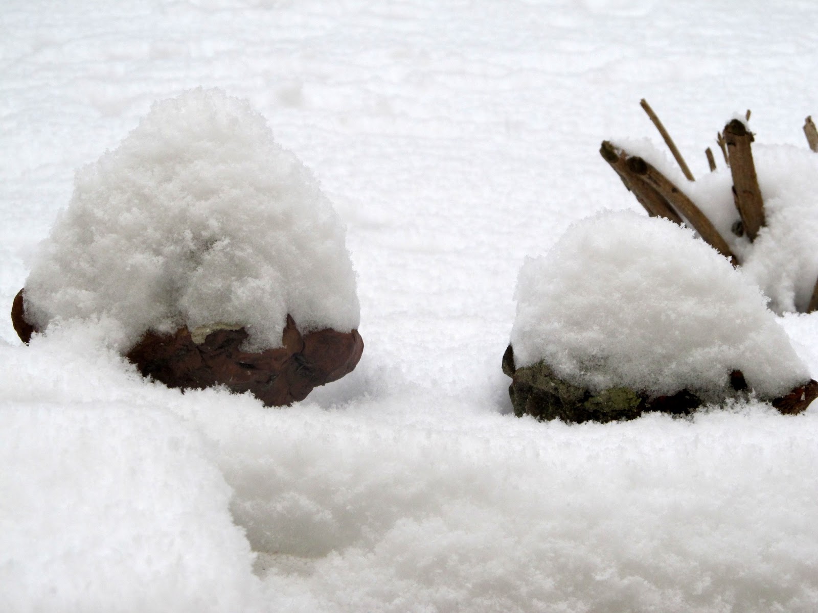 KIEKEBOE van de KIEKJESDIEVEN: Structures, patterns and objects in snow
