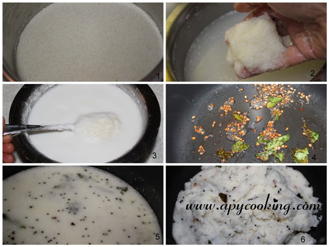 Apy Cooking: Undi
