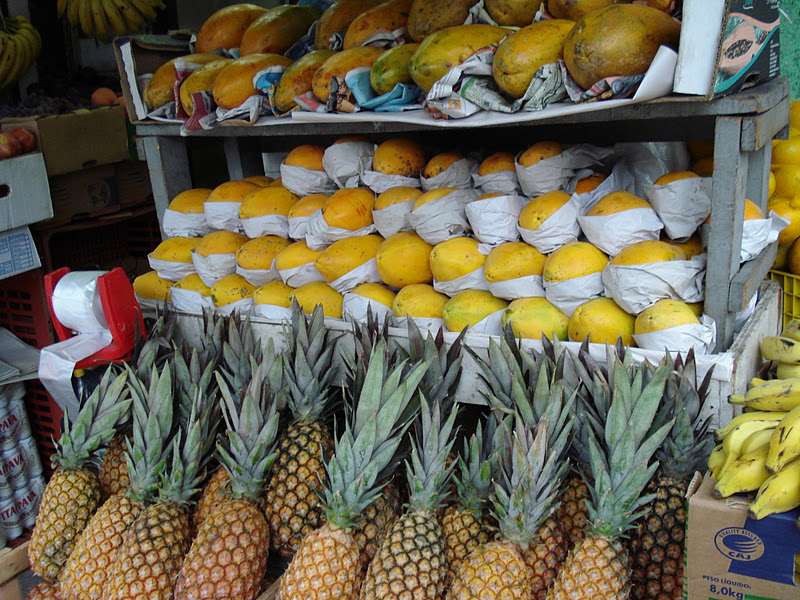 Mãe Gaia: Da Kitanda à Quitanda