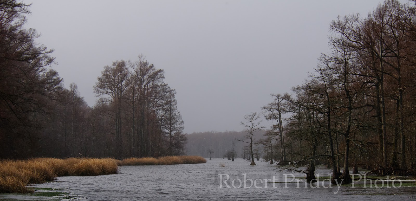 Robs Photo Facts: Reelfoot Lake - Hidden Gem of Nature