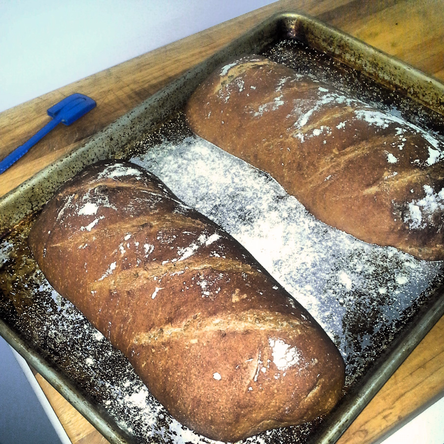 'Round the Chuckbox: Whole wheat no-knead bread