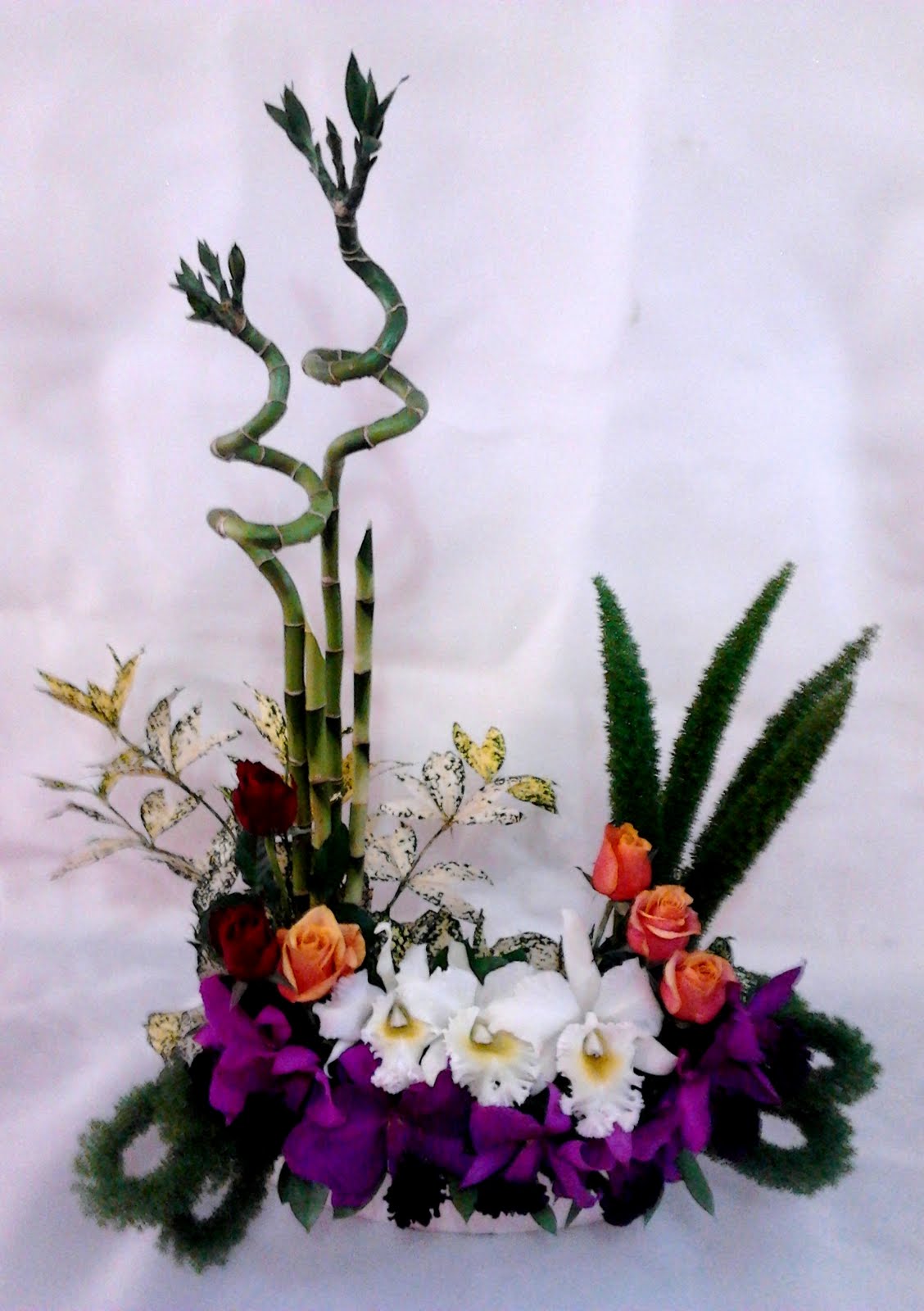 Rangkaian Anggrek Cattleya Yang Anggun Dan Berkelas - Toko Bunga ...