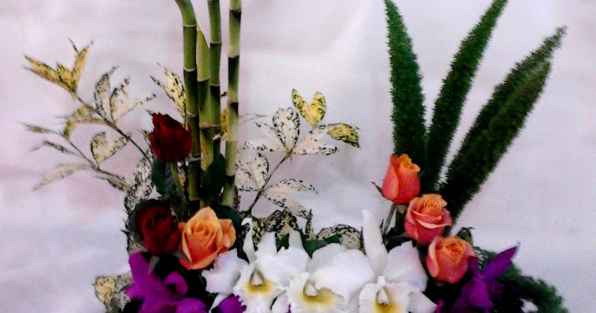 Rangkaian Anggrek Cattleya Yang Anggun Dan Berkelas - Toko Bunga ...