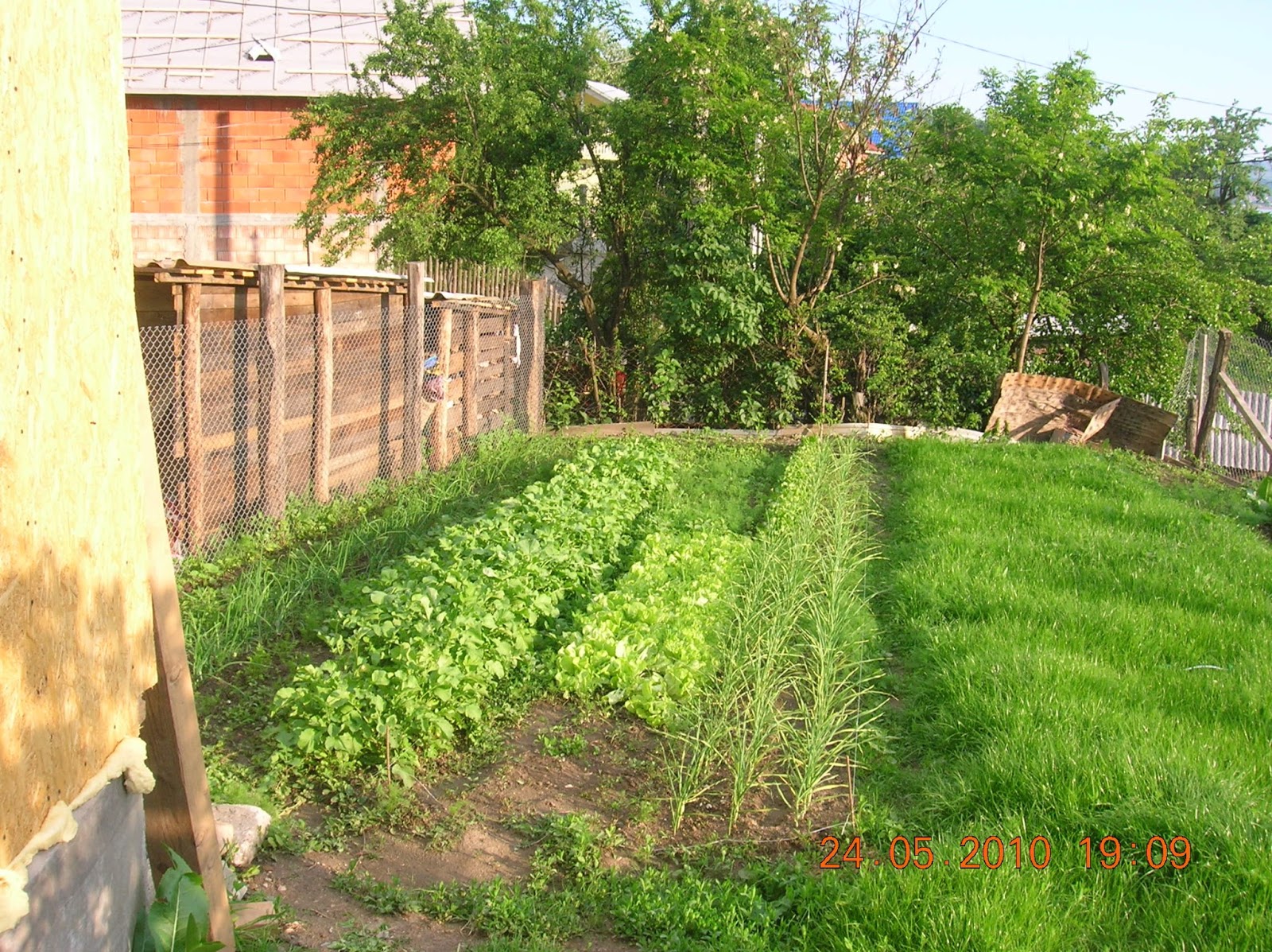 Gradinarit anotimp cu anotimp: Metodele Naturii de gestiune a solului