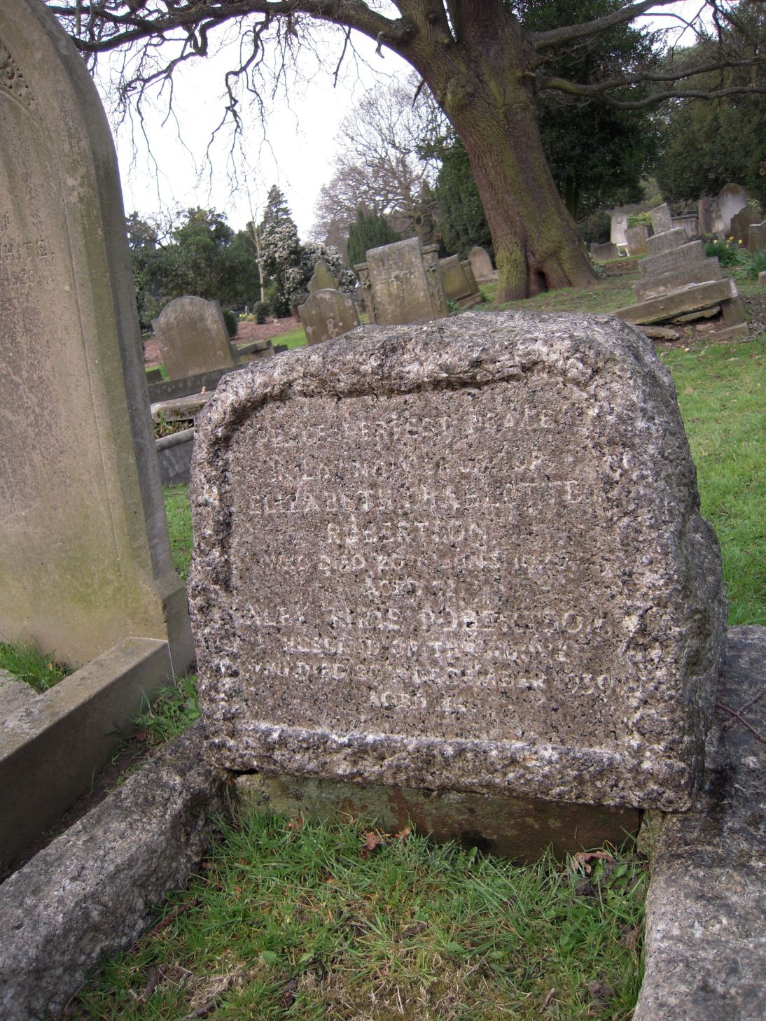 A Genealogy Hunt | April 2011