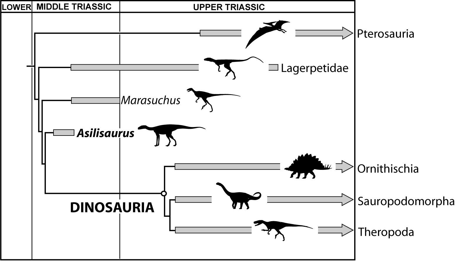 Asilisaurus