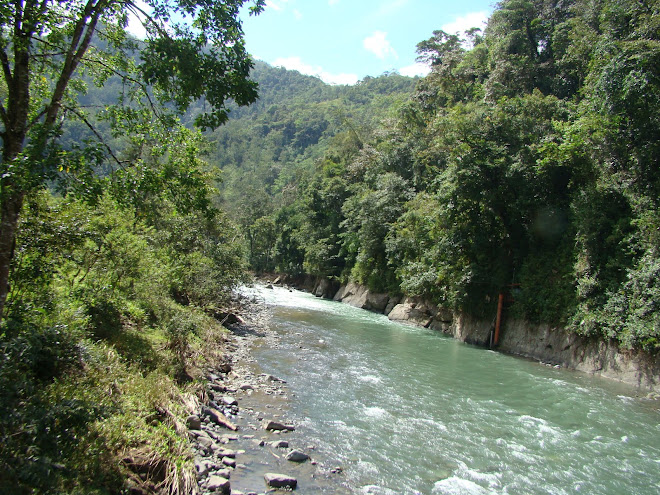 Rio Pacuare es Vida: Rio Pacuare