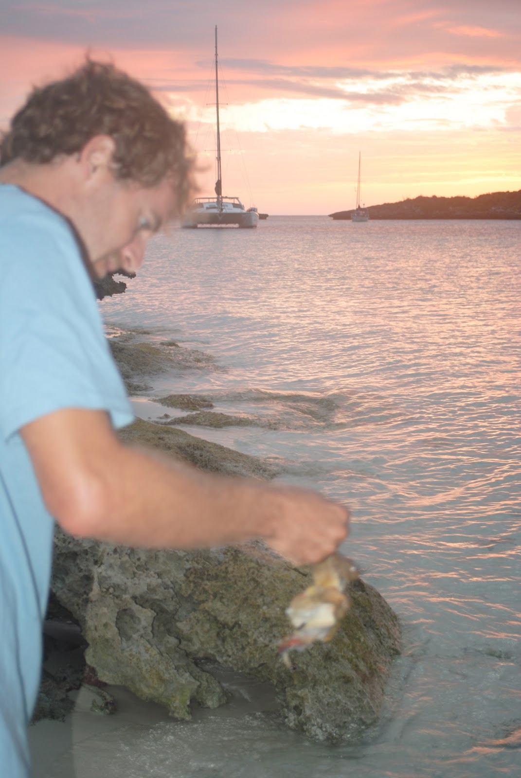 Sailing the Tanqueray: Conch Cleaning
