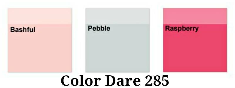 Color My Heart Color Dare: Color Dare #285 - Bashful, Pebble and Raspberry