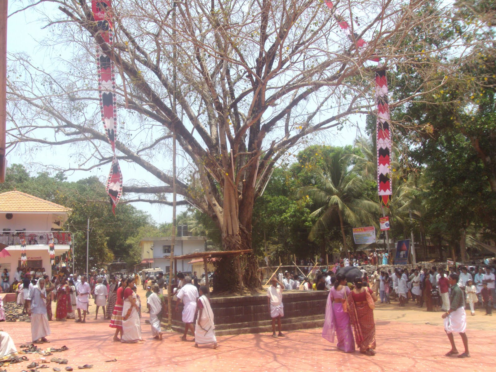 B N Suresh: KOLLAM SRI PISHARIKAVU TEMPLE FESTIVAL