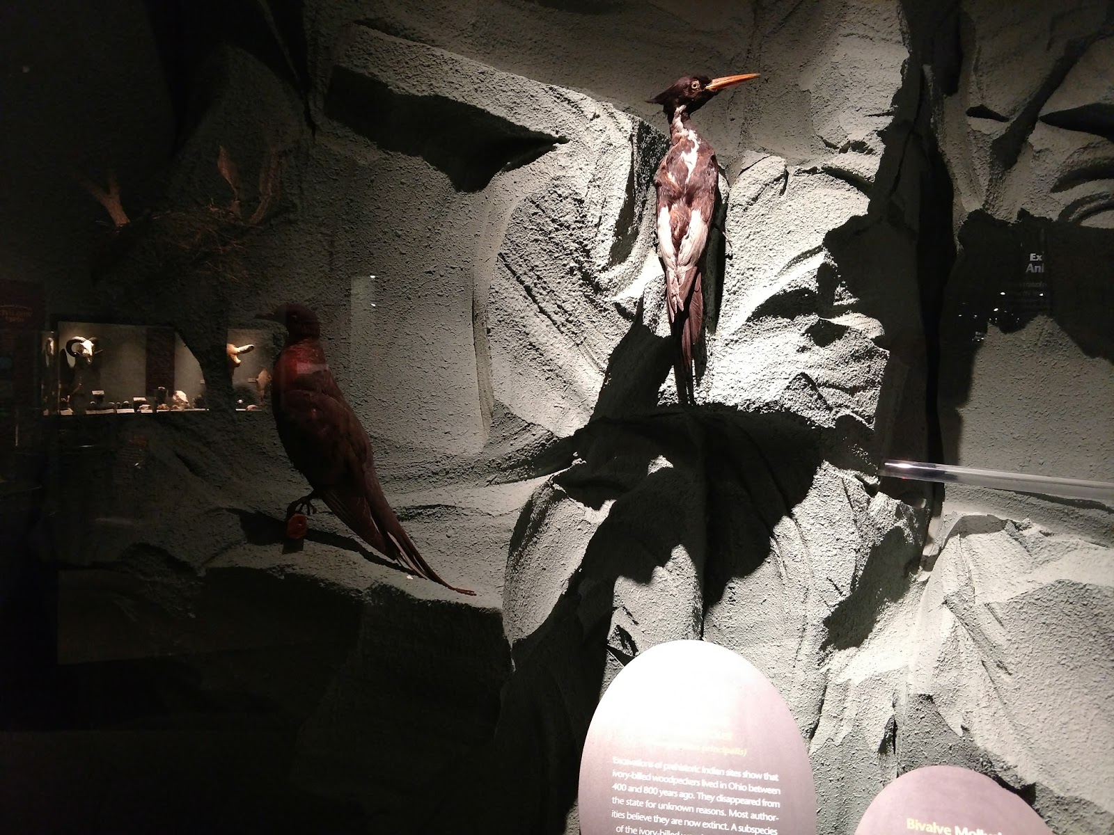 Travels of a Hobgoblin Taphophile: Extinct Animals Exhibit - Ohio ...