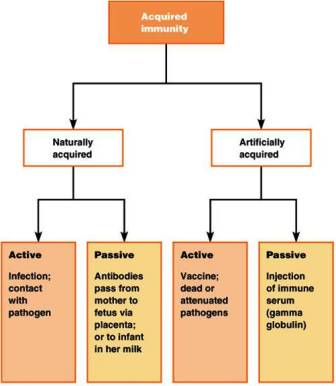 Acquired immunity or Adaptive immunity or Specific defence mechanisms