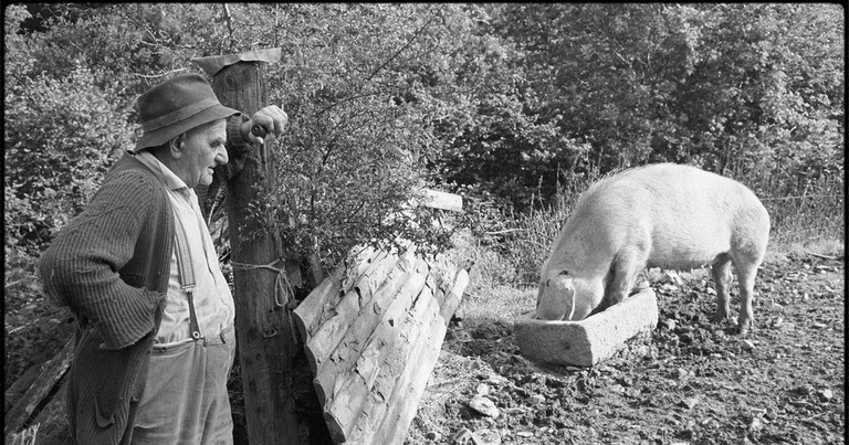 Jennifer Cairns AS Photography Component 2 Documenting Contemporary ...