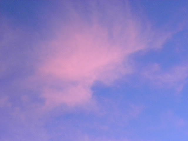 Verdi orizzonti: La nuvola