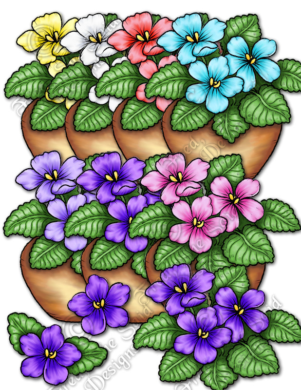 Fred, She Said Designs .... The Store