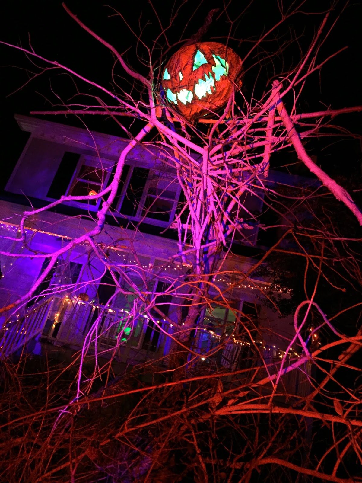 PUMPKINROT.COM: The Blog: Twisted Things