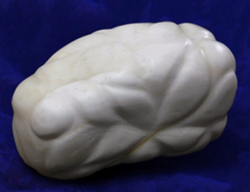 LA PERLE ... DES ROIS