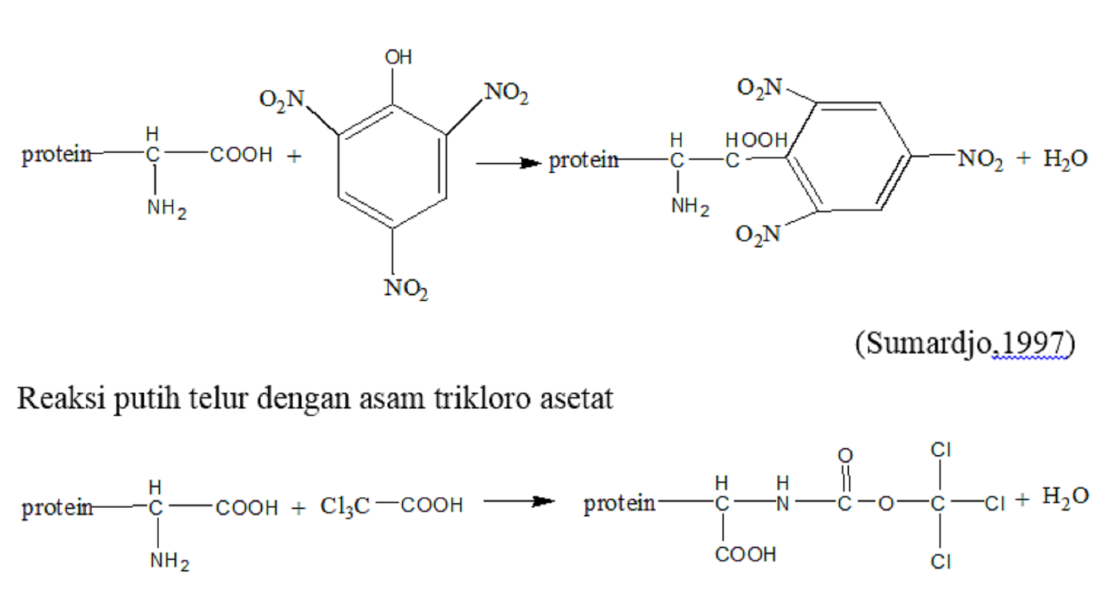 PERCOBAAN VIII - Senyawa Bio-Organik Lemak & Protein (Kimia Dasar I ...