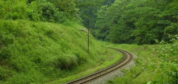 Interesting Green: A green corridor down memory lane