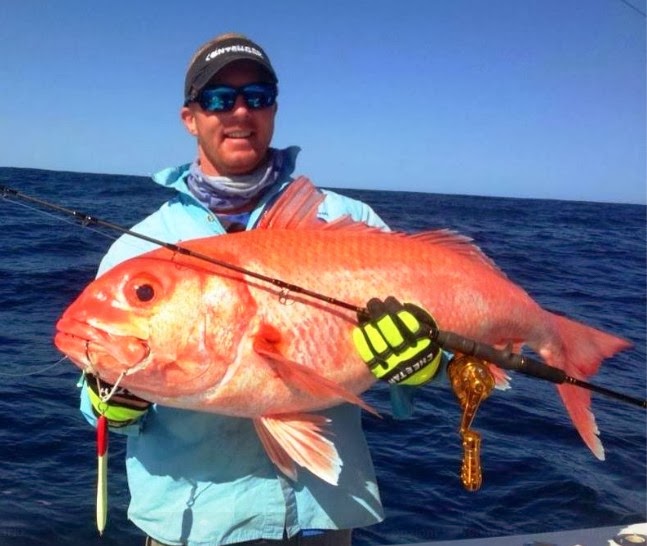 Big Fishes of the World: RUBY SNAPPER (E. Carbunculus)