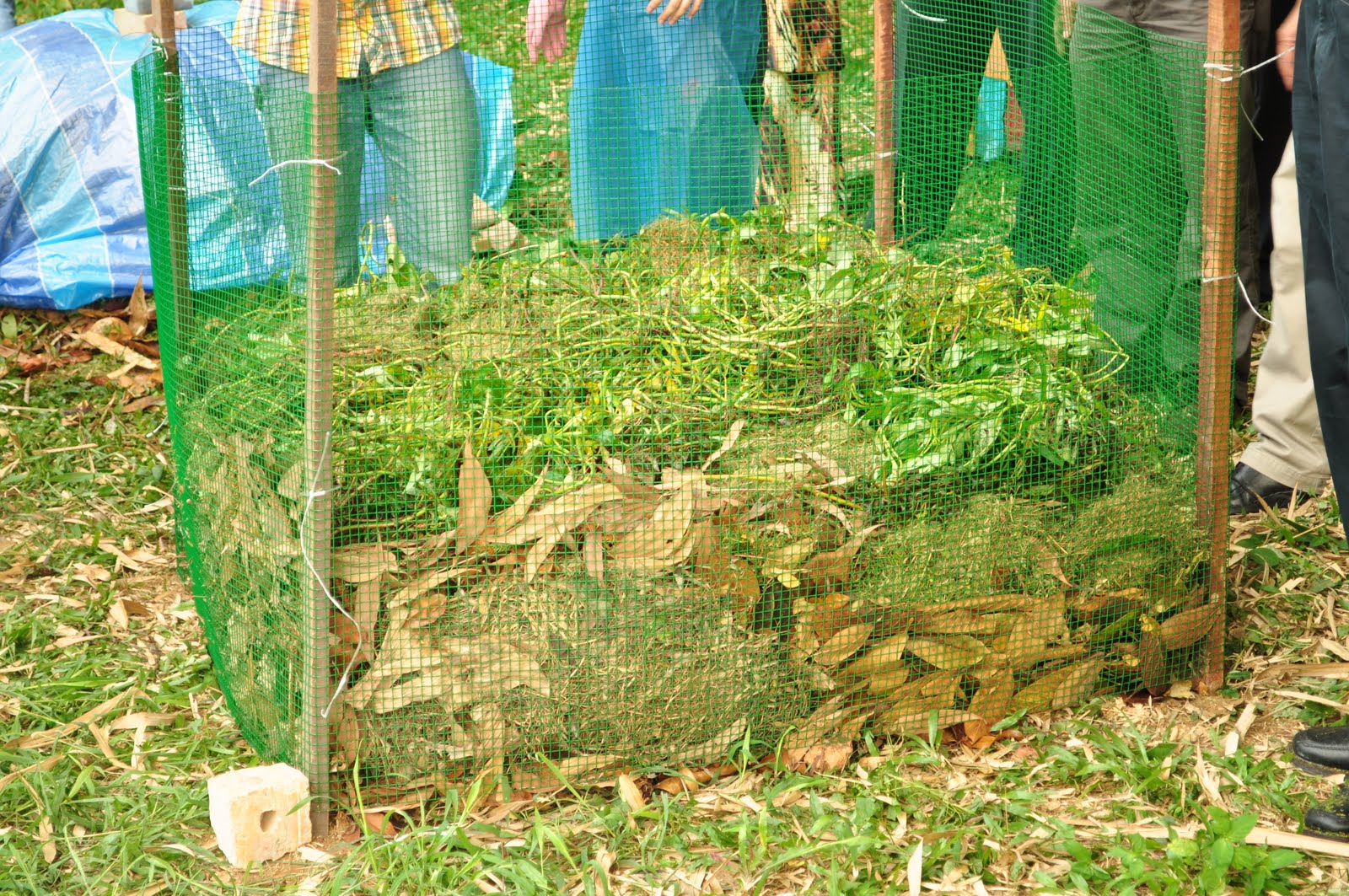 MEMUPUK GAYA HIDUP LESTARI DALAM KAWASAN KAMPUS DAN KEJIRANAN USM ...