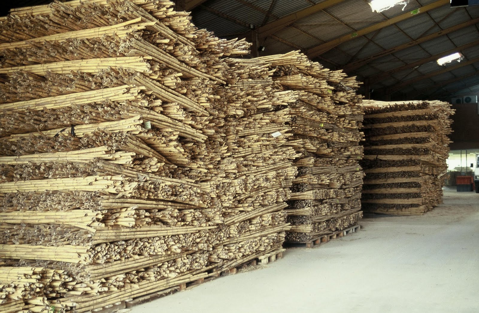 The Curious Clarinetist: Trip to the Rico Factory