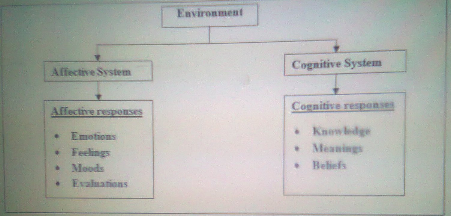 CONSUMER BEHAVIOUR AND MARKETING STRATEGY: CHAPTER III: INTRODUCTION TO ...