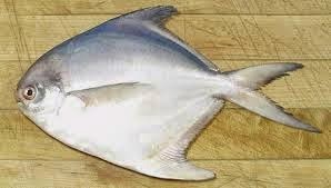 Deepa’s Kitchen: Saranga Fry