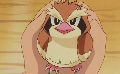 AKI GIFS: Gifs animados Pidgeot (Pokémon)