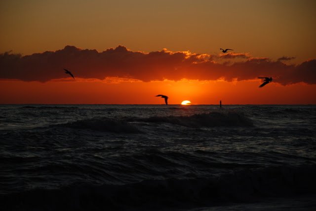 Ricci Silvano Fotografie: dall'AURORA all'ALBA sul mare