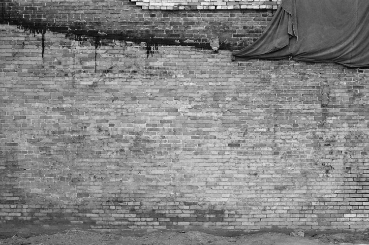 travis markel [photographer]